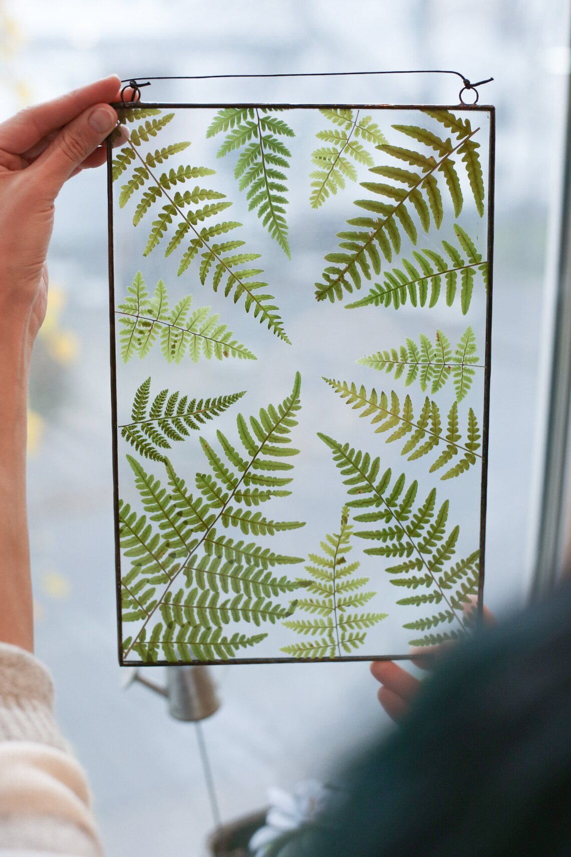 Dried Fern Plant in Stained Glass Frame, Pressed Leaves Wall Hanging ...