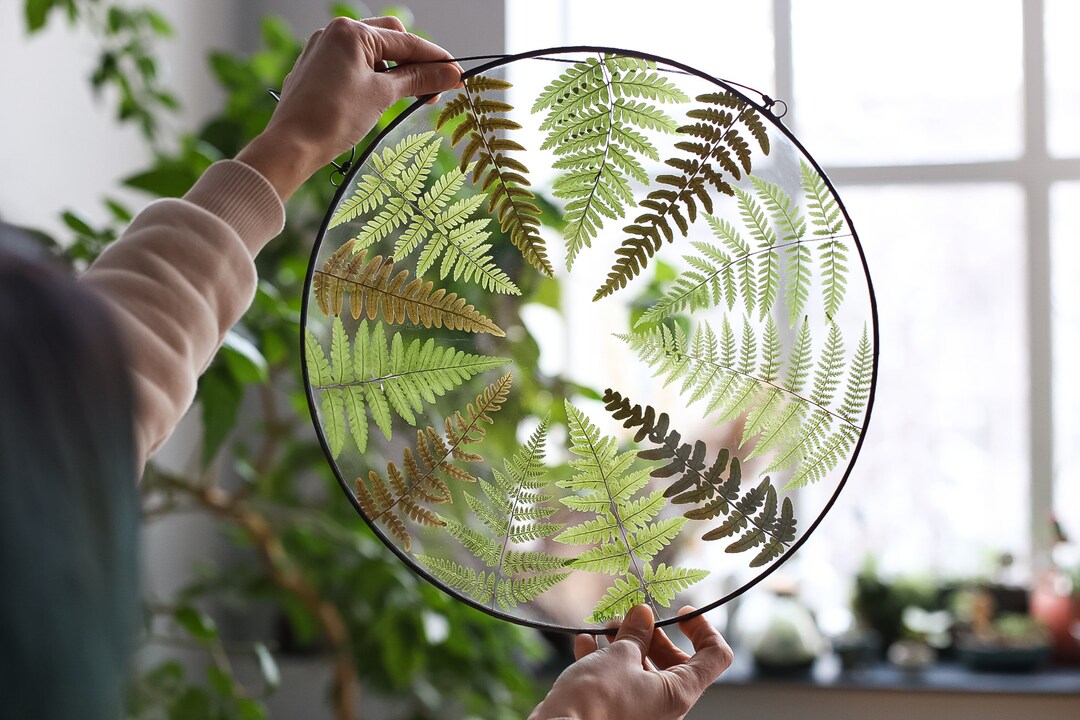 Pressed Fern Plant in Stained Glass Frame, Dried Leaves Wall Hanging ...