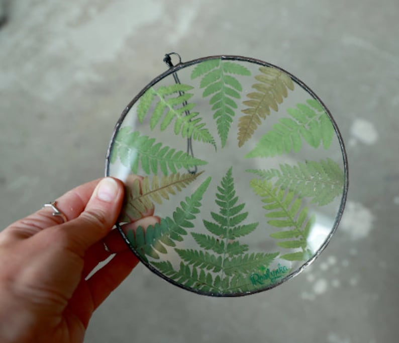 Pressed Fern Plant in Stained Glass Frame Dried Leaves Wall - Etsy UK