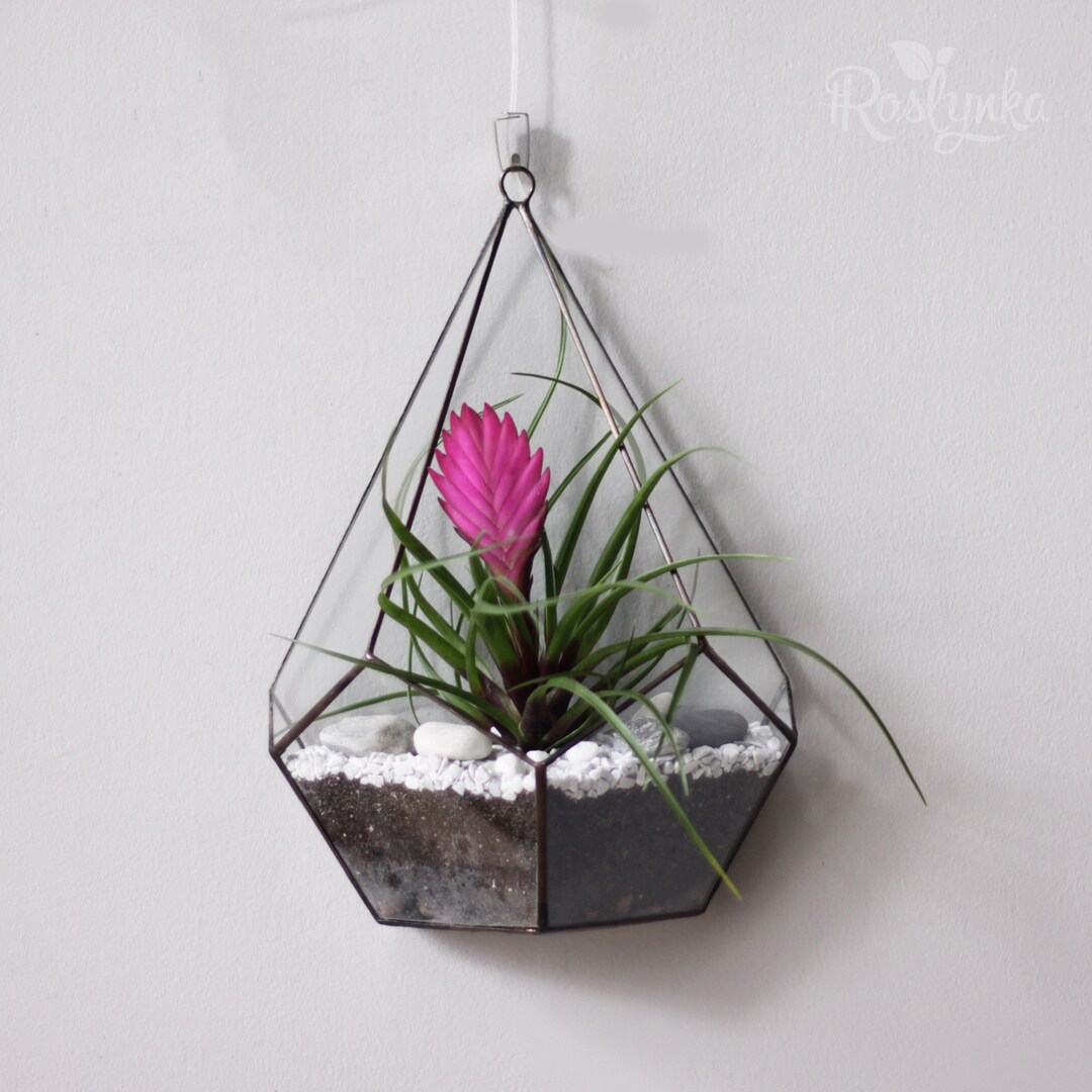 Wall Hanging Planter Box, Diamond Stained Glass Terrarium, Geometric ...