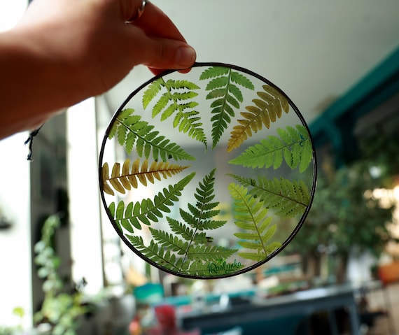 Dried Fern Plant in Stained Glass Frame Pressed Green & - Etsy