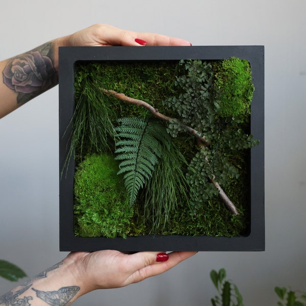 Fern Moss - Etsy