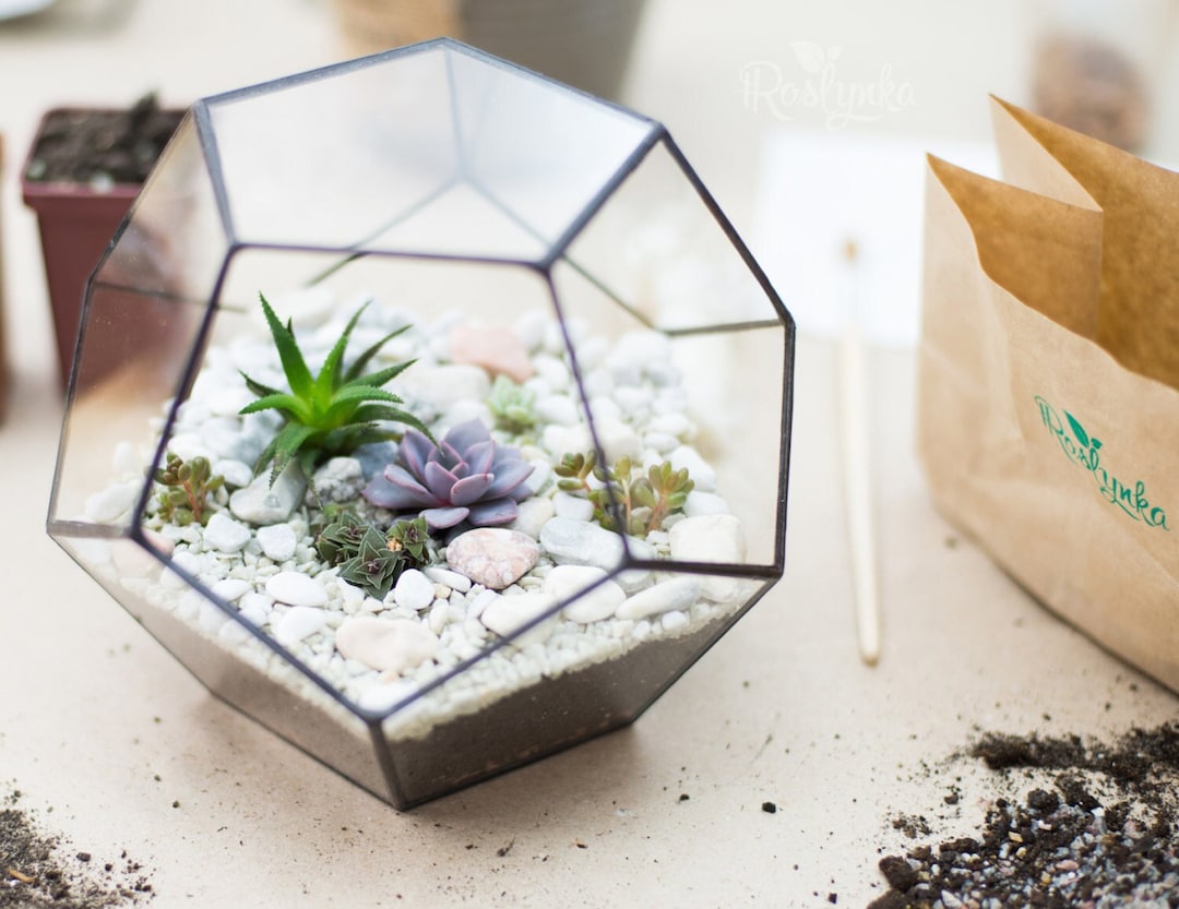 Geometric Terrarium Container, Stained Glass Moss Terrarium, Large ...