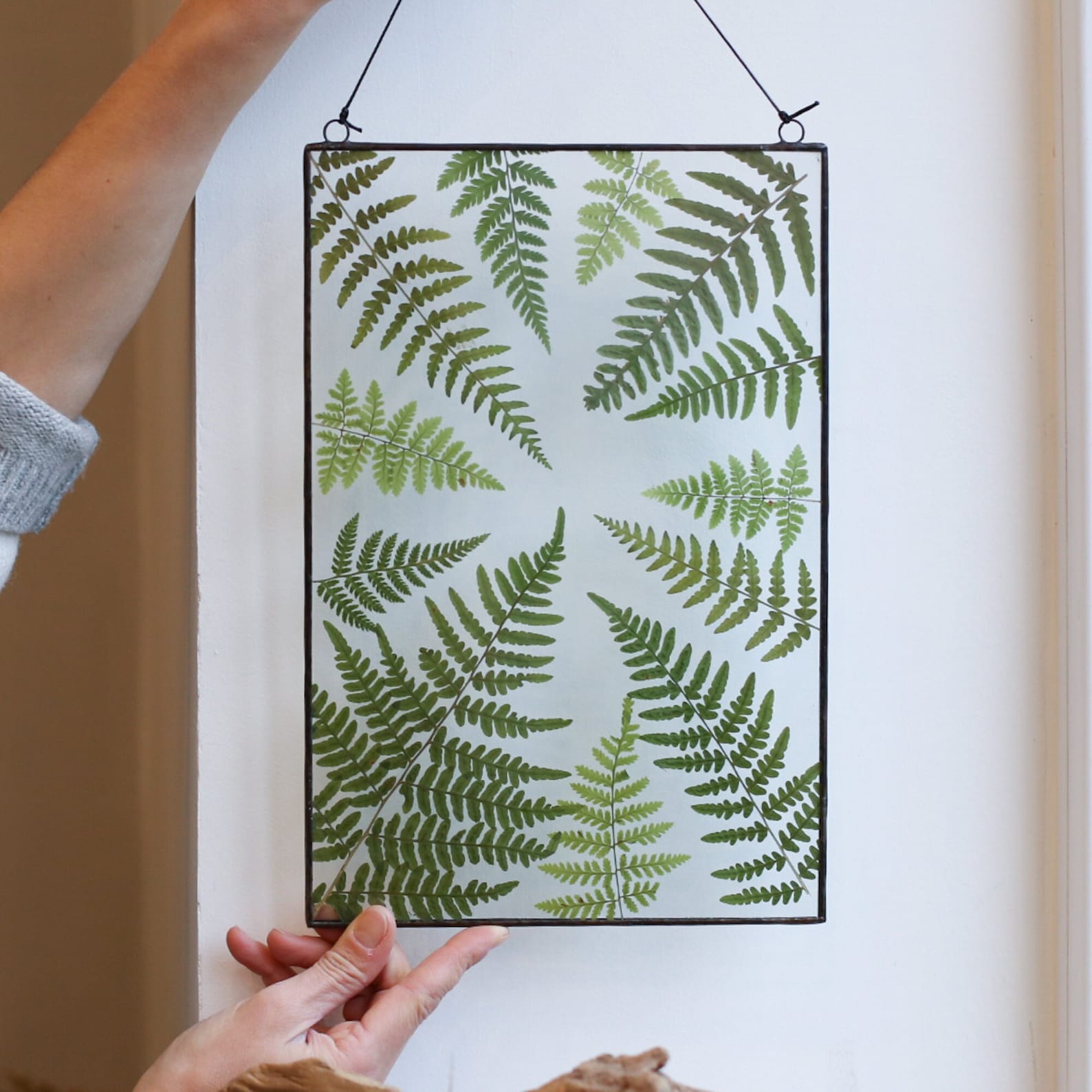 Dried Fern Plant in Stained Glass Frame Pressed Leaves Wall - Etsy