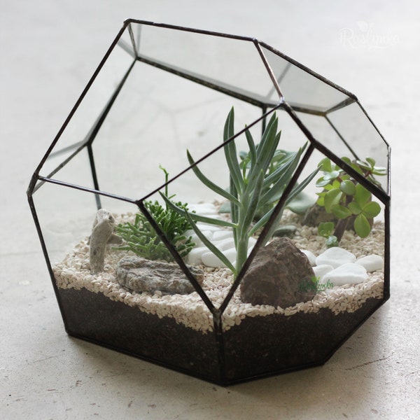 Glass Terrarium Container - Etsy