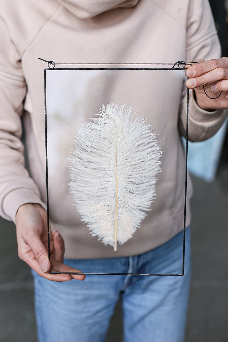 Ostrich Feather in Stained Glass Frame, Burlesque Window Hangings ...