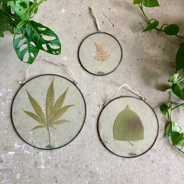 Fern Glass Wall Panel - Etsy