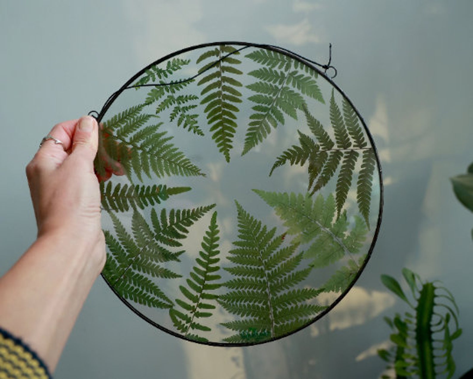 Pressed Fern Plant in Stained Glass Frame Dried Leaves Wall - Etsy UK