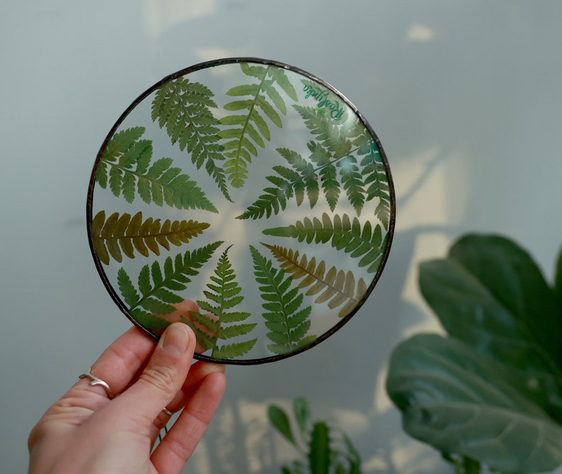 Pressed Fern Glass Frame, Botanical Suncatcher, Calming Green Nature ...