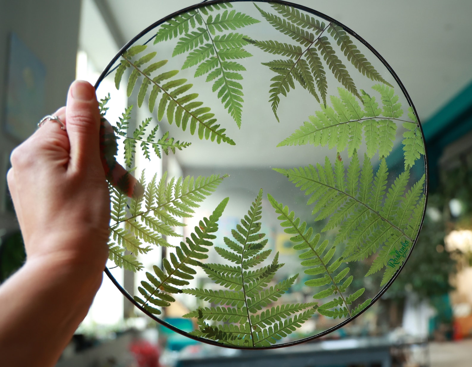 Dried Fern Plant in Stained Glass Frame Pressed Green & - Etsy
