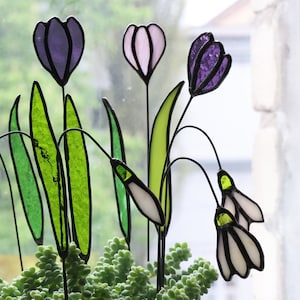 Crocus, Snowdrop Stained Glass Flowers With Leaves on a Stem, Sun ...