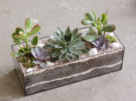 Rectangular Indoor Planter Pots Office Planters: Source The Best