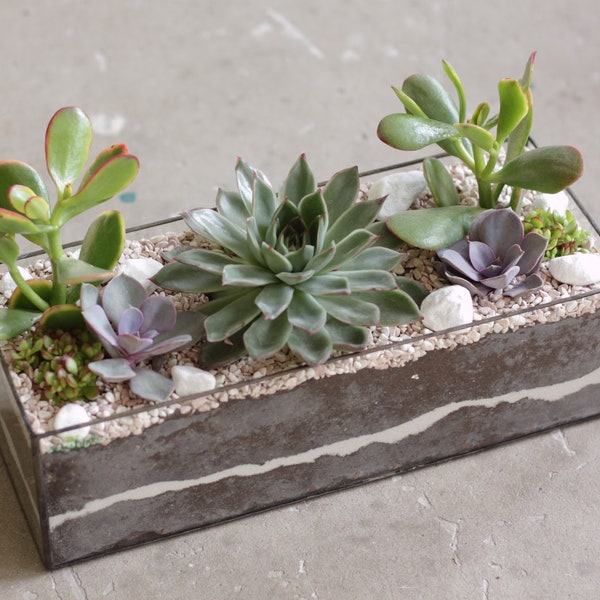 Glass Planter - Etsy