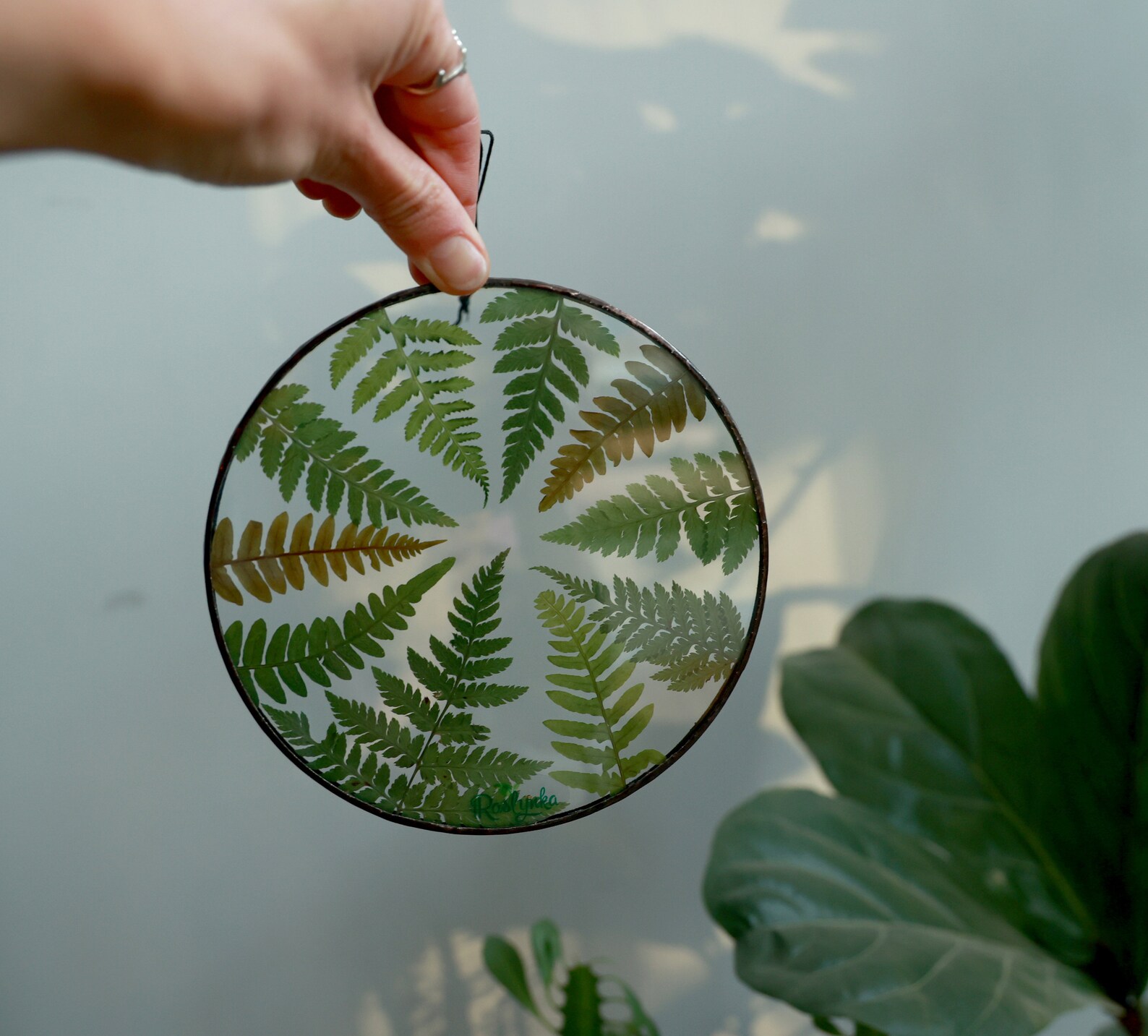 Dried Fern Plant in Stained Glass Frame Pressed Green & - Etsy