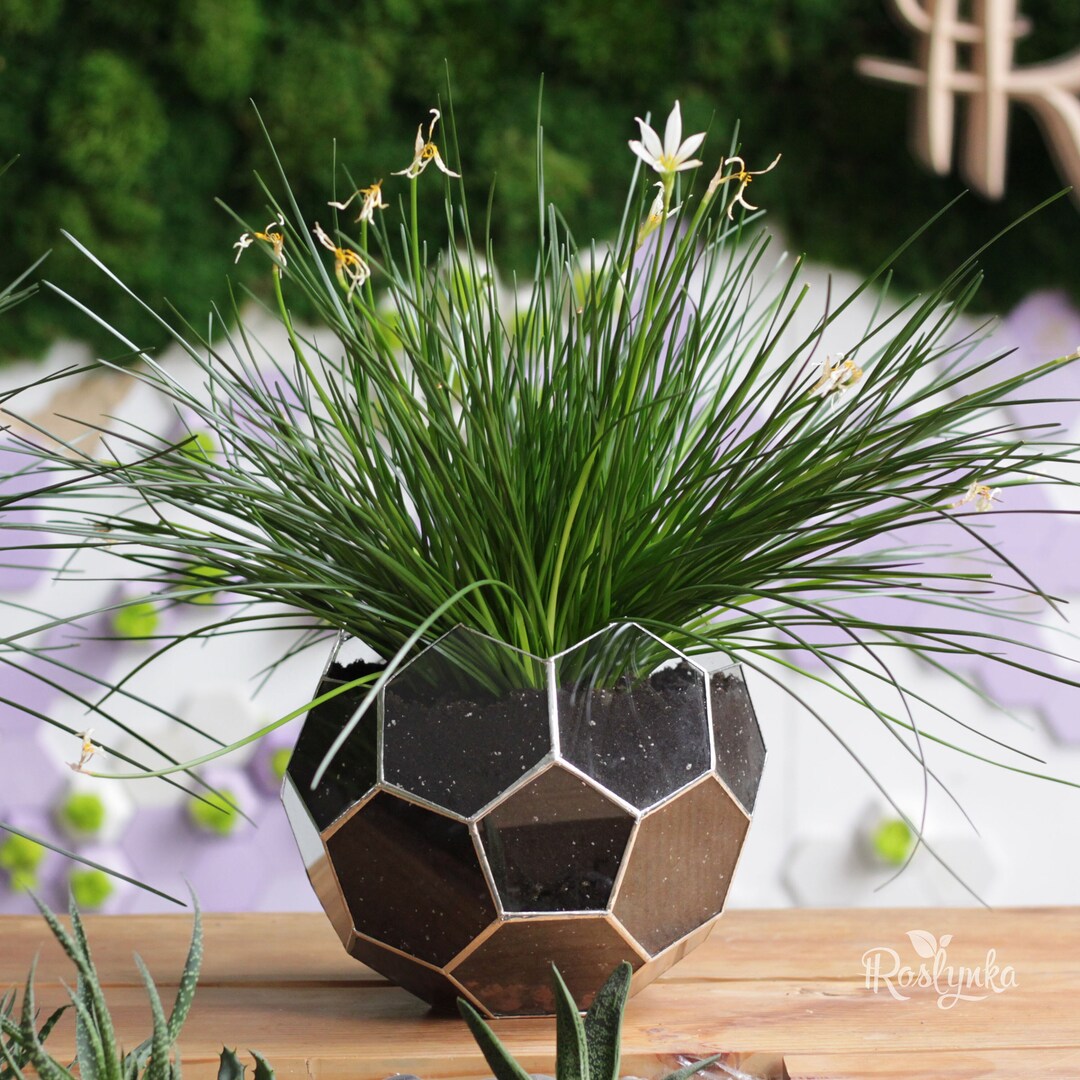Stained Glass Planter Pot, Clear Faceted Ball Terrarium Container ...