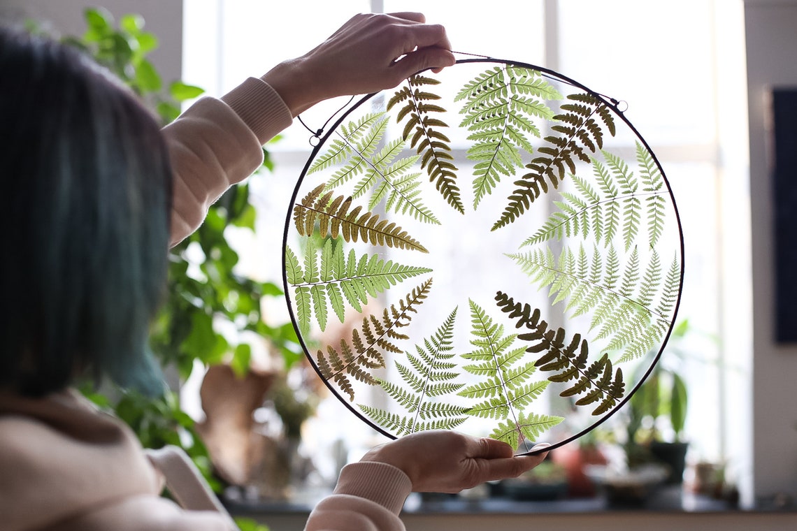 Pressed Fern Plant in Stained Glass Frame Dried Leaves Wall | Etsy