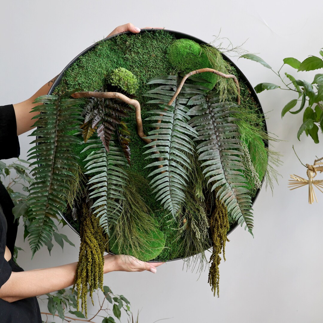 Round Fern, Wood & Preserved Moss Wall Art, Framed Stabilized Plants ...