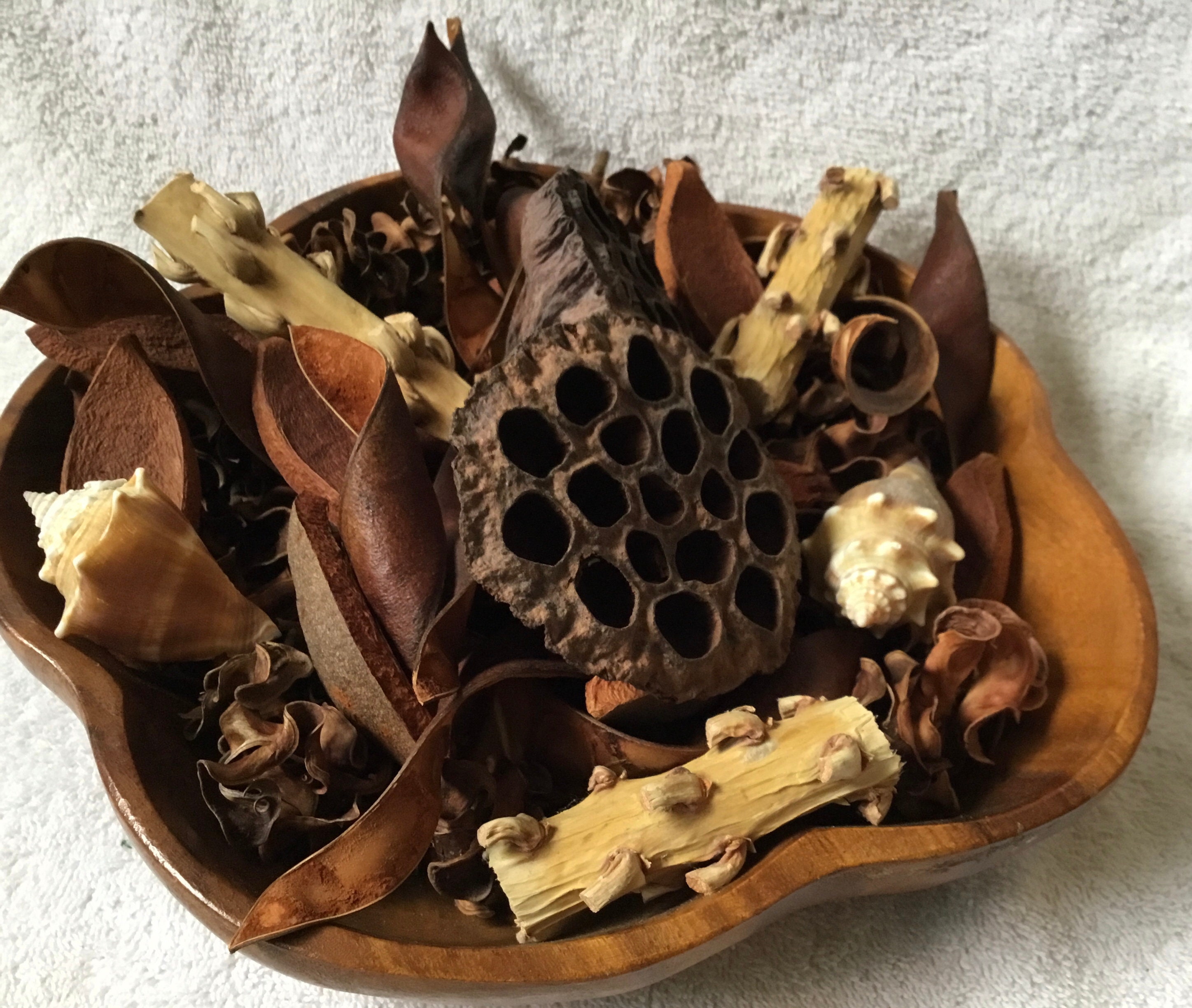 Beach Potpourri Sandalwood Scented Lotus Pods Queen Palm - Etsy