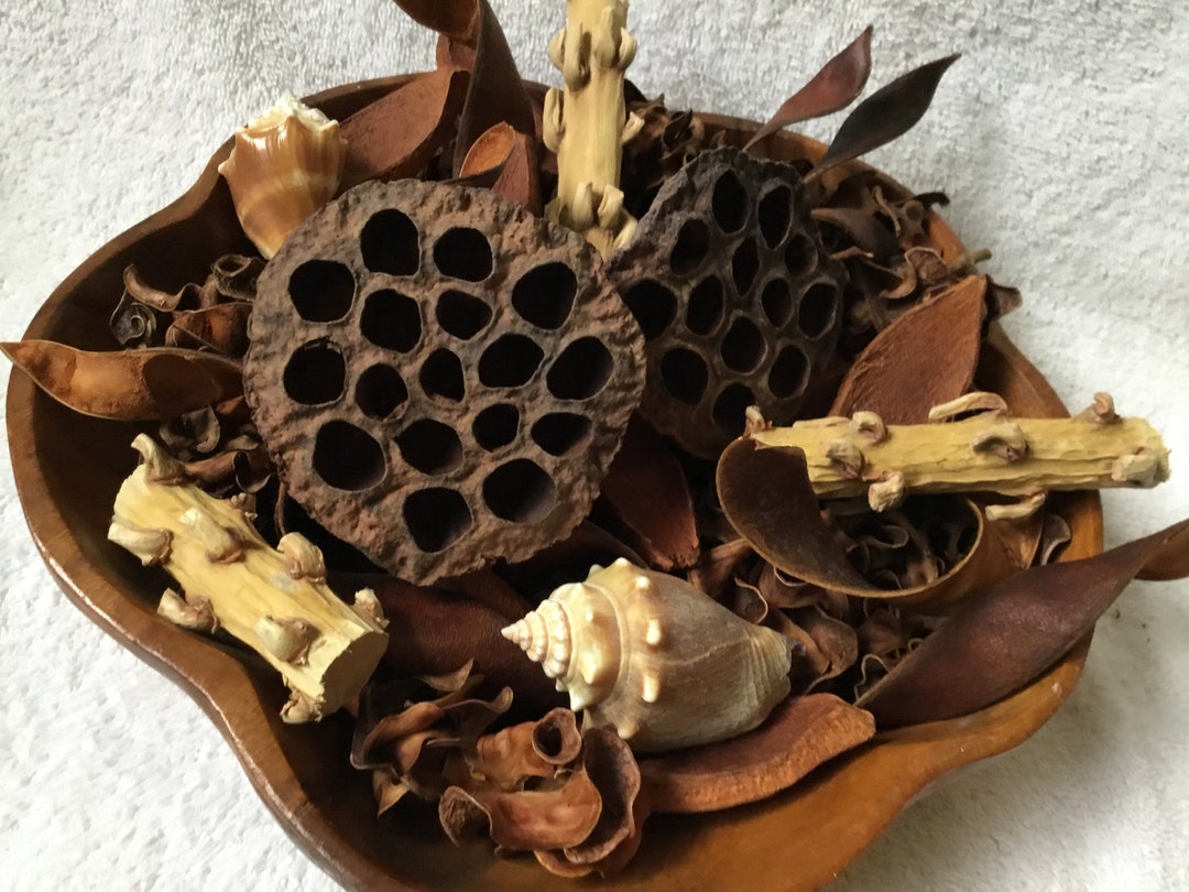 Beach Potpourri Sandalwood Scented Lotus Pods, Queen Palm Slices, Conch ...