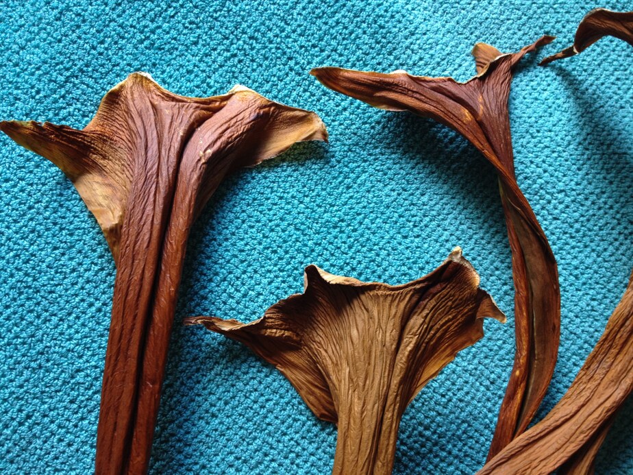 HawaiiBobsGardenArts - Etsy