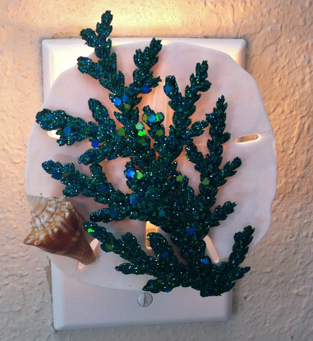 Led Night Light SA Conch Seashell - Etsy