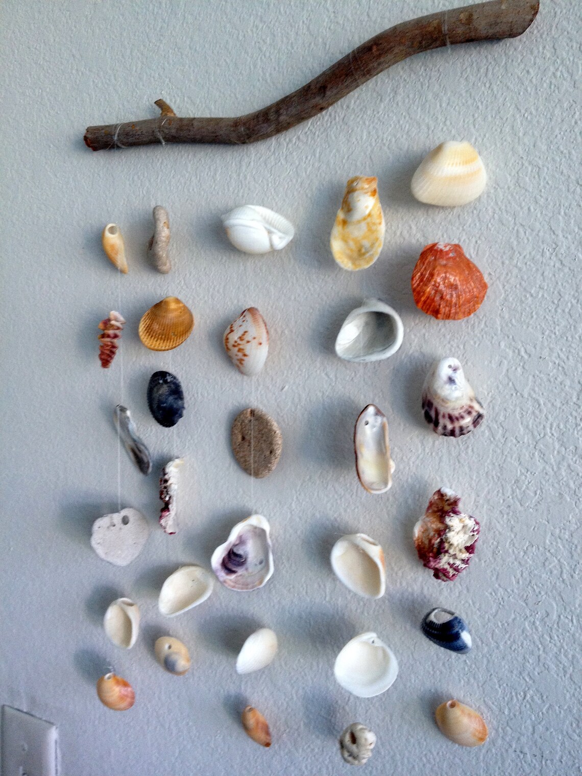 Seashell Wind Chimes Y Sea Grape Wood Polished With Coconut | Etsy