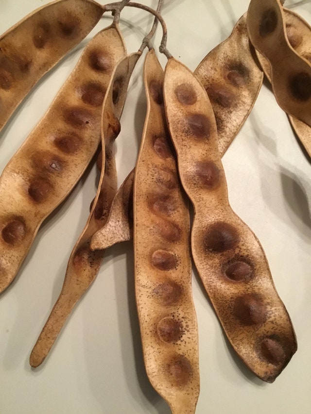 HawaiiBobsGardenArts - Etsy