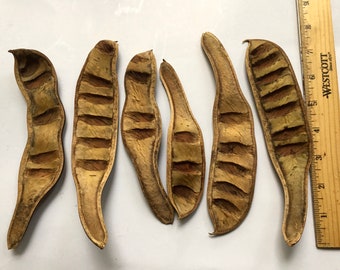 HawaiiBobsGardenArts - Etsy