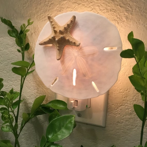 Sand Dollar Night Light SG LED Bulb Natural Knobby Starfish | Etsy