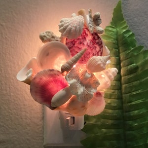 Home Ocean Seashell NA Handmade Nautical Coastal Decor Night Light - Etsy