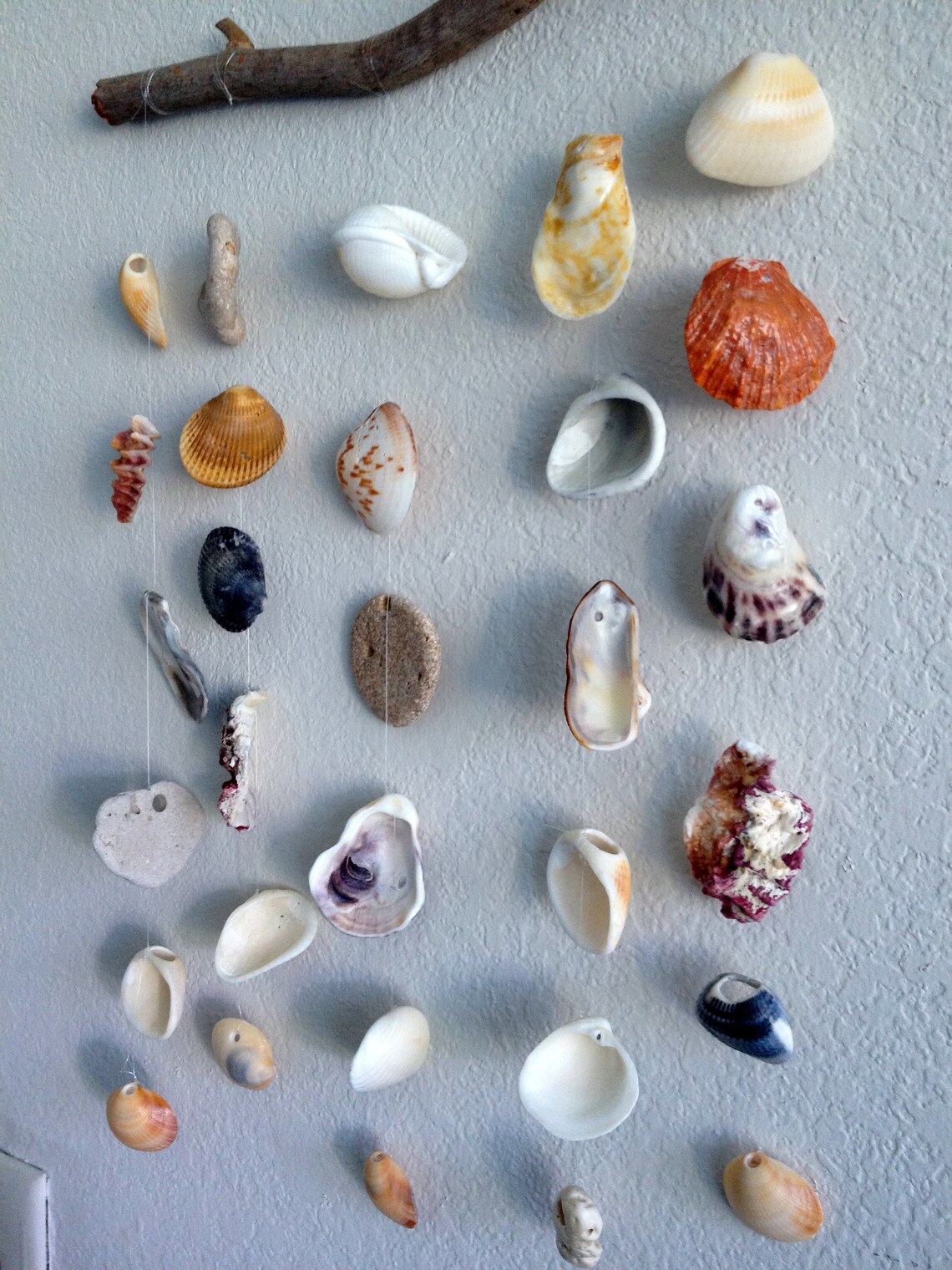 Seashell Wind Chimes Y Sea Grape Wood Polished With Coconut - Etsy