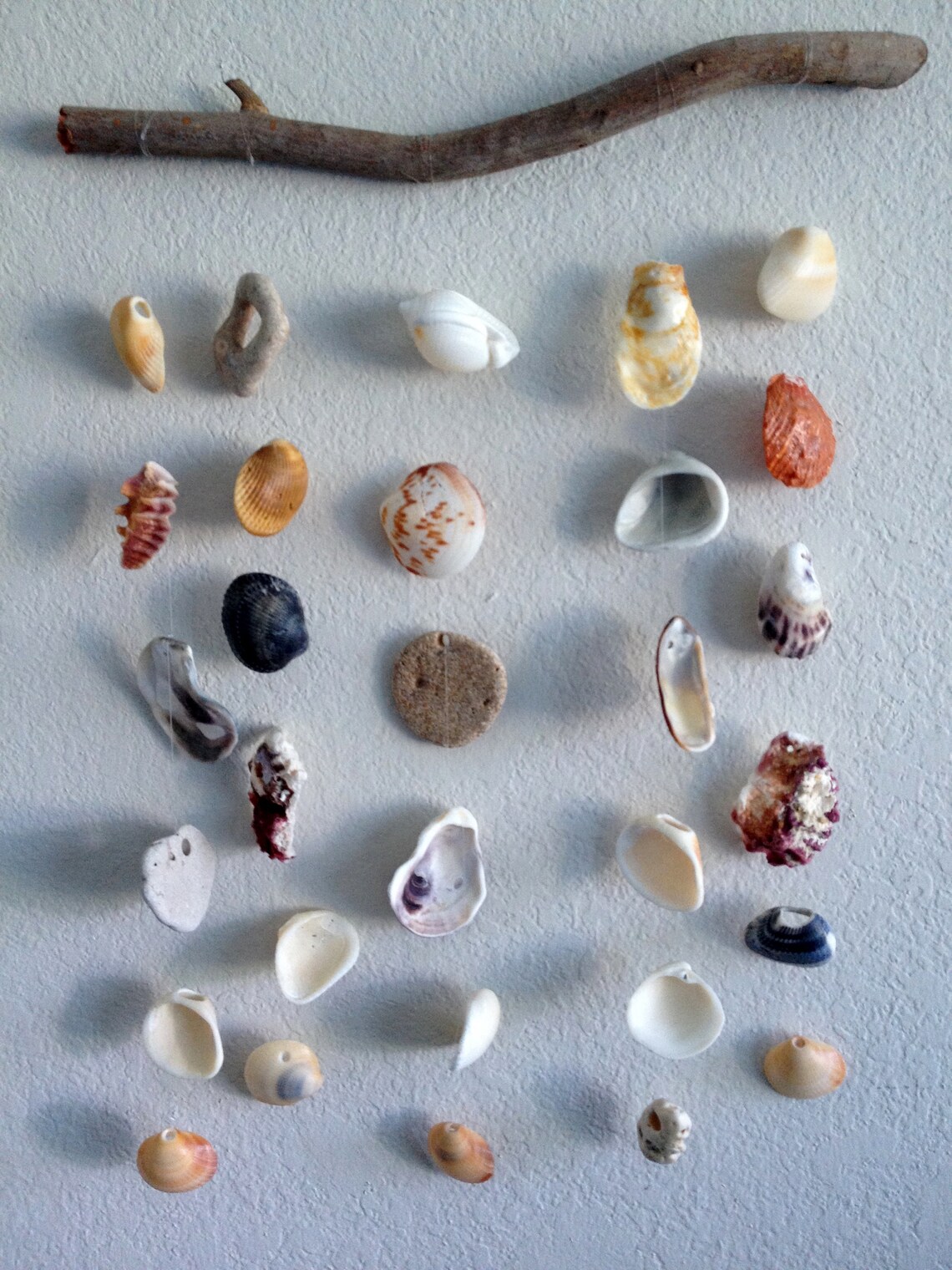 Seashell Wind Chimes Y Sea Grape Wood Polished With Coconut - Etsy