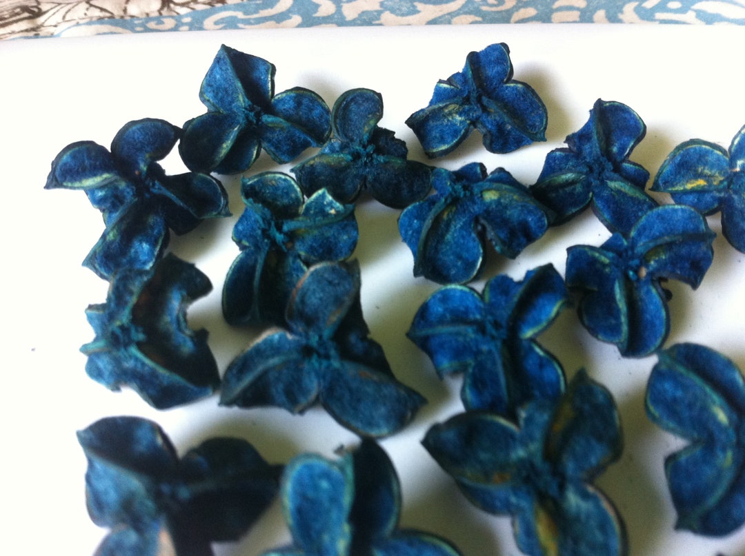 Blue Pods 20pc Crafts Potpourri - Etsy