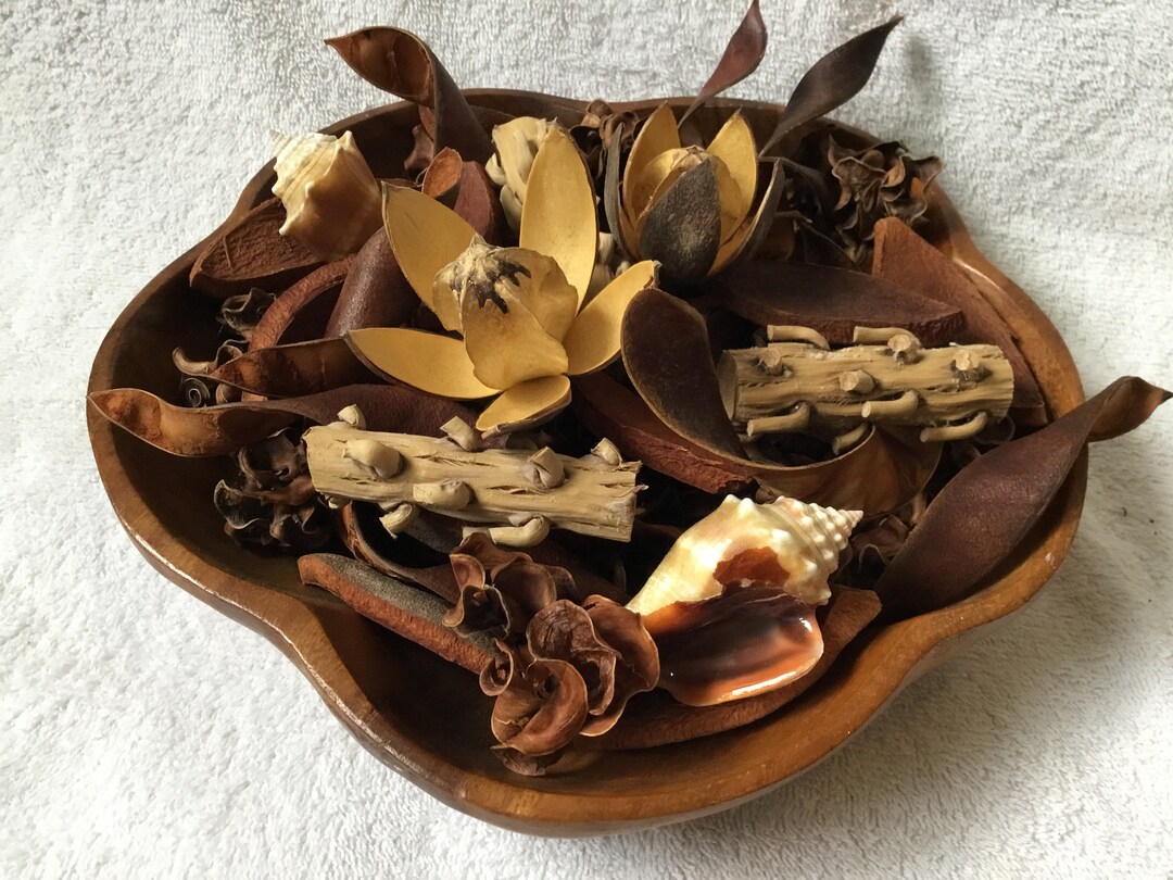 Hawaii Bobs Dried Decor Potpourri Seashells Ocean Gifts - Etsy