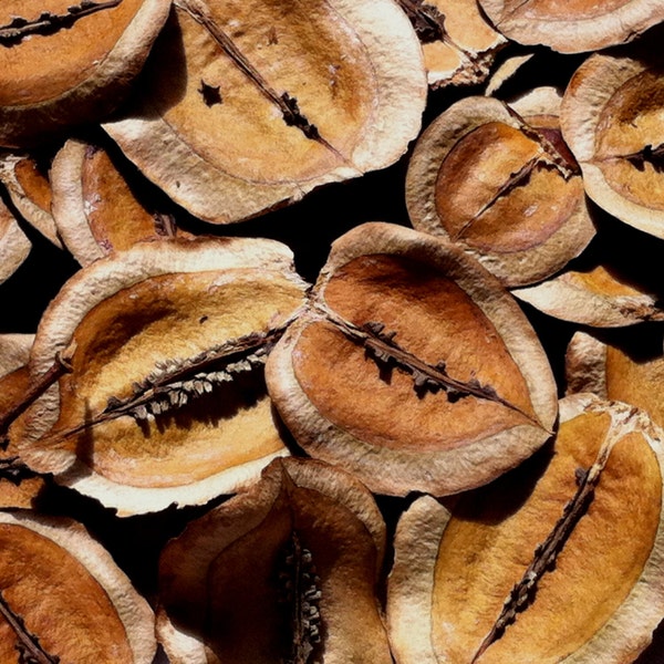 Jacaranda Wood - Etsy