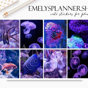 Sea Live Ocean Marine Fish Stickers Under the Sea Erin - Etsy