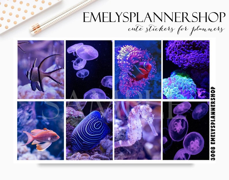 Sea Live Ocean Marine Fish Stickers Under the Sea Erin - Etsy