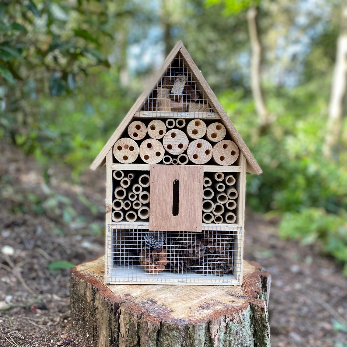 Wooden Insect Bug & Bee House | Etsy UK