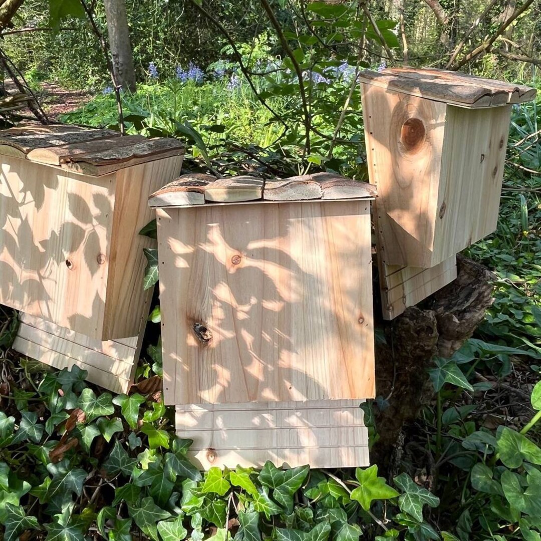 Large Wooden Bat Nesting Roosting Box - Etsy