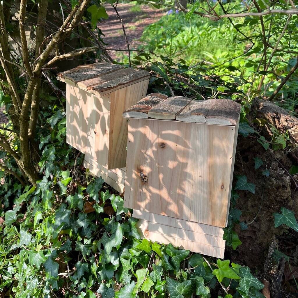 Large Wooden Bat Nesting Roosting Box - Etsy