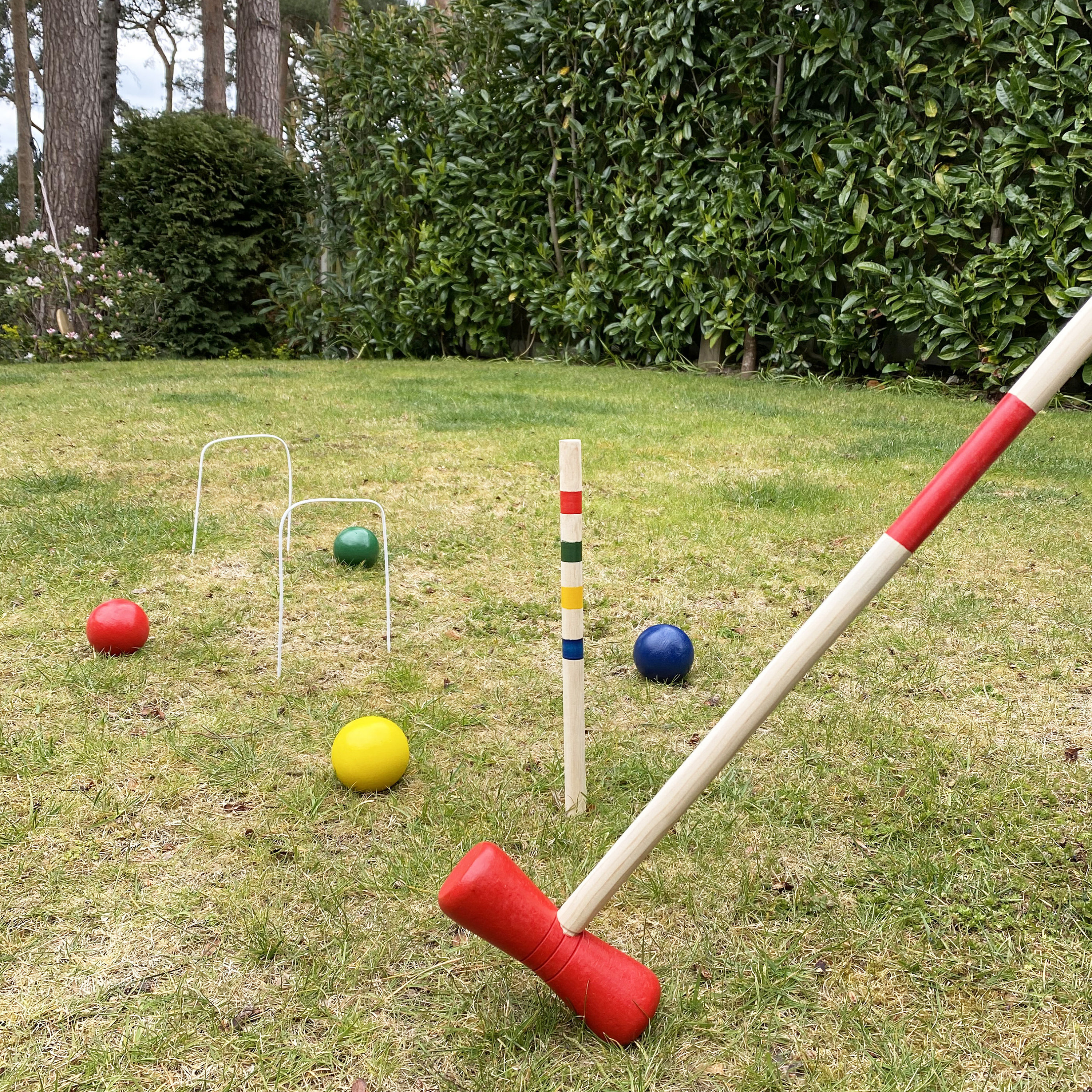 Croquet Ball Game