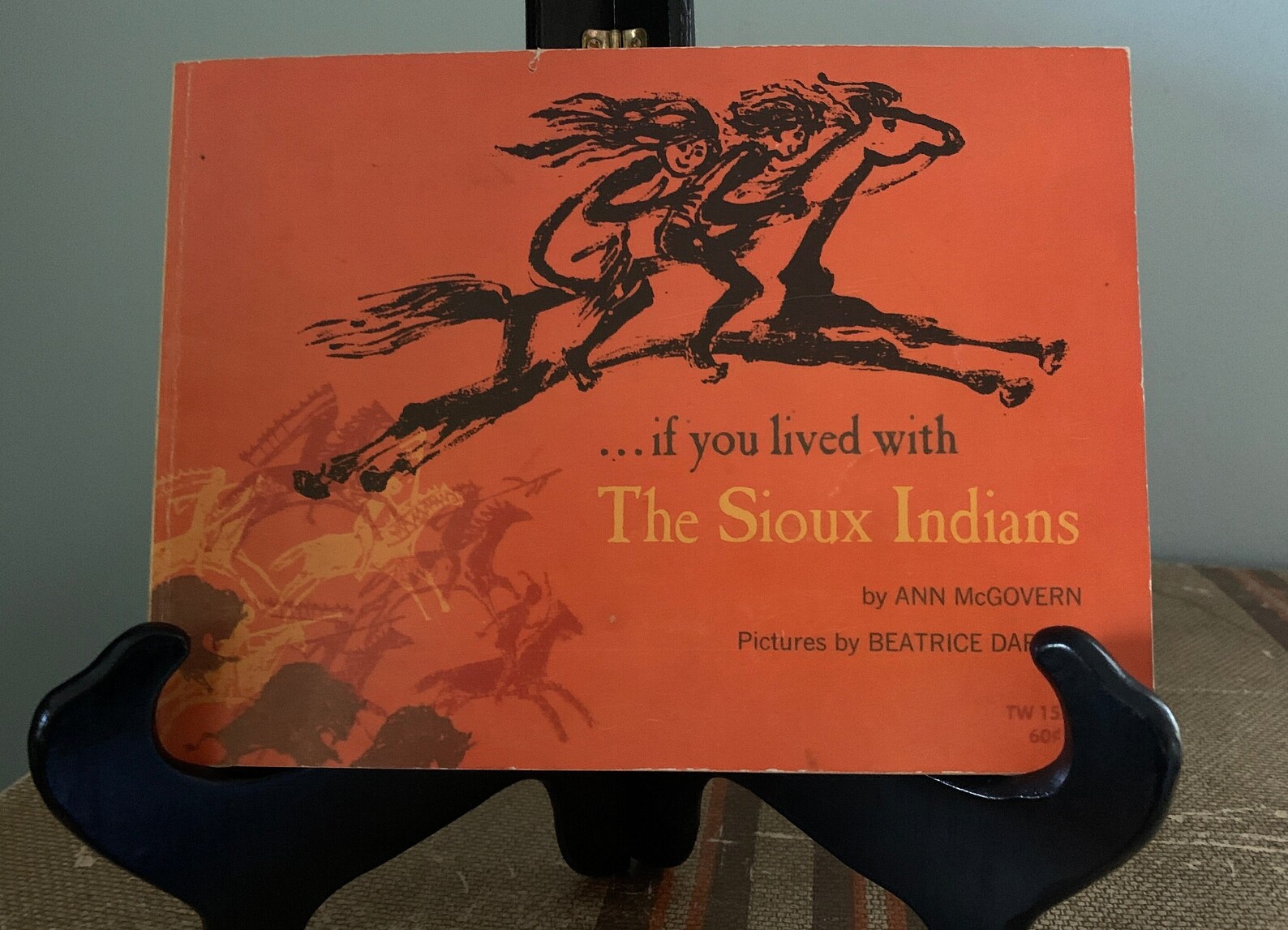 If You Lived With the Sioux Indians Book - Etsy