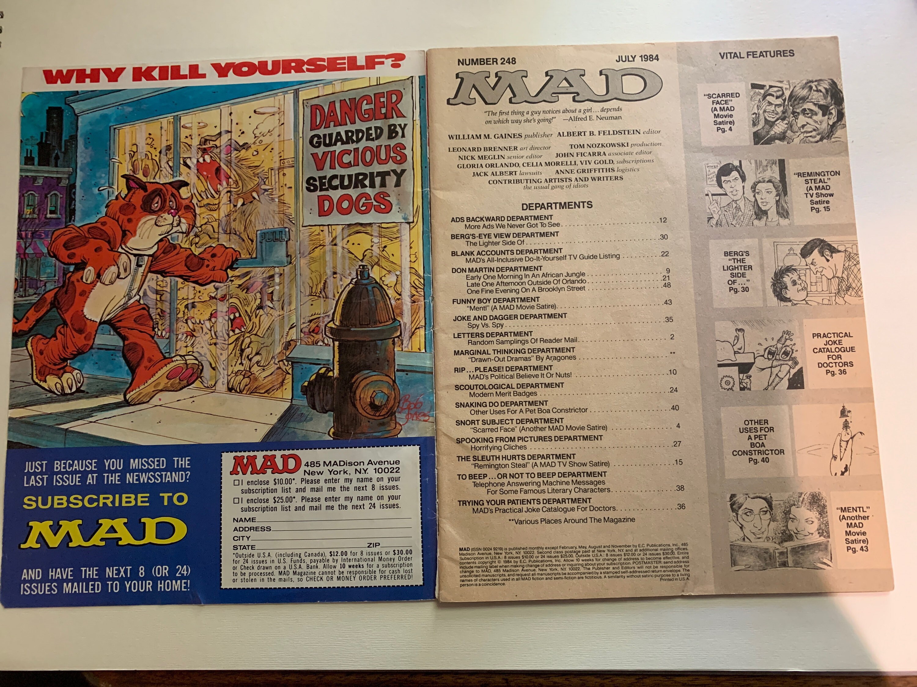 Mad Magazine No.248 July 1984 - Etsy
