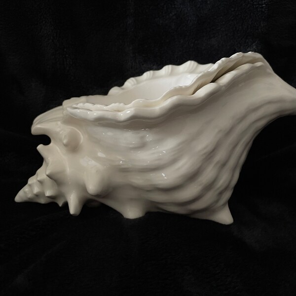 Conch Shell Planter - Etsy