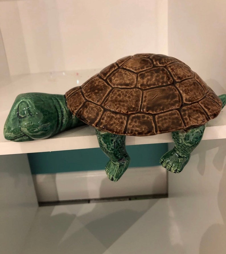 Lazy Turtle - Etsy