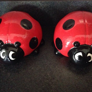 Ceramic Ladybug - Etsy