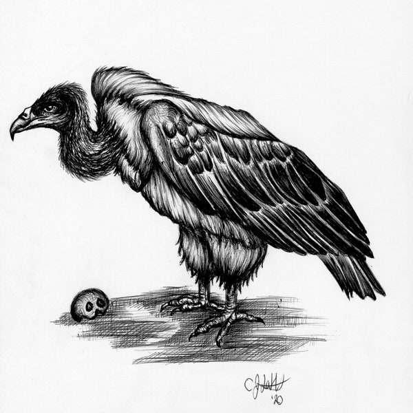 Vulture Print - Etsy