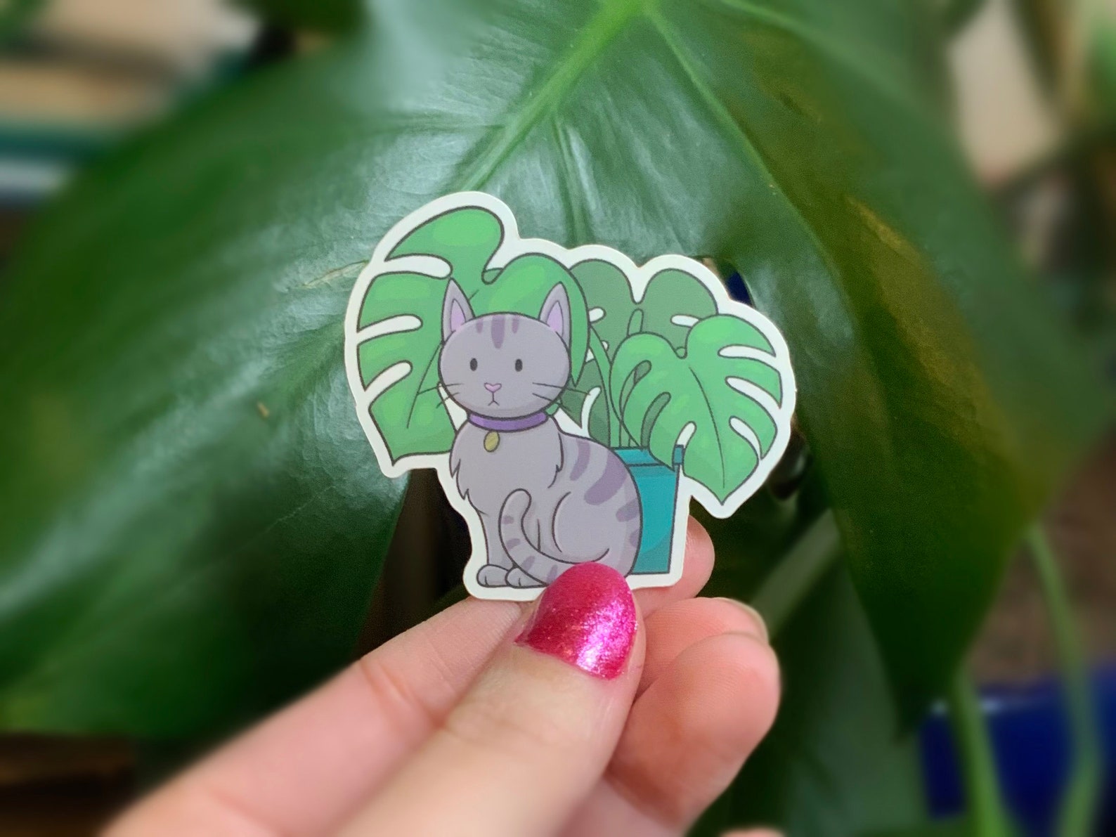Vinyl Sticker - Cat With Monstera Plant - Matt Weatherproof Vinyl ...