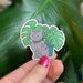 Vinyl Sticker - Cat With Monstera Plant - Matt Weatherproof Vinyl ...