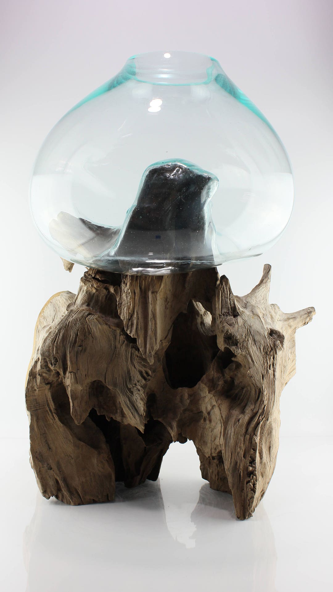 Teak Root Vase - XL - Etsy